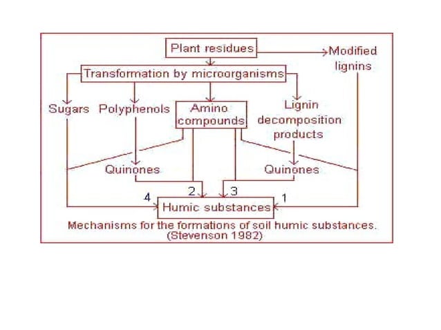HUMUS FORMATION.pptx soil and agricultural microbiology | PPTX