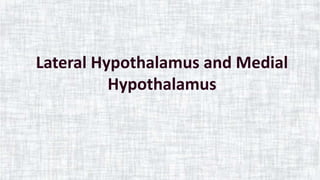 Hunger | PPTX | Digestive Disorders | Diseases and Conditions