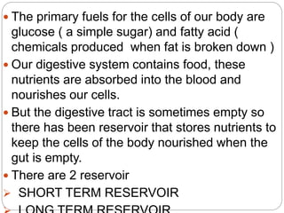 Biological foundation of behaviour- hunger | PPTX