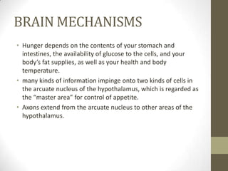Hunger - Biological Explanation | PPTX