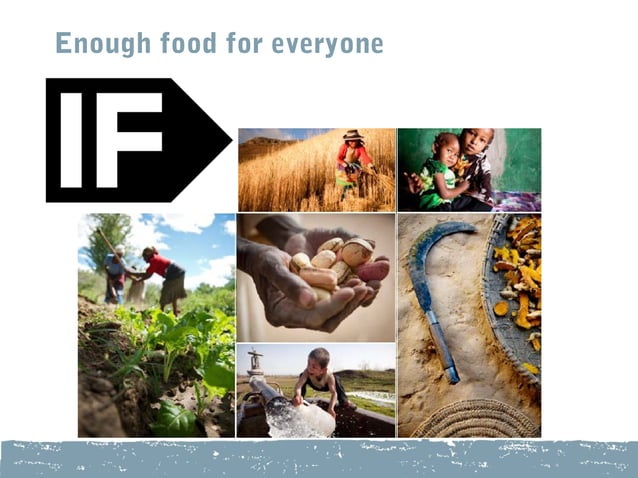 Hunger and Malnutrition Campaigns | PPT