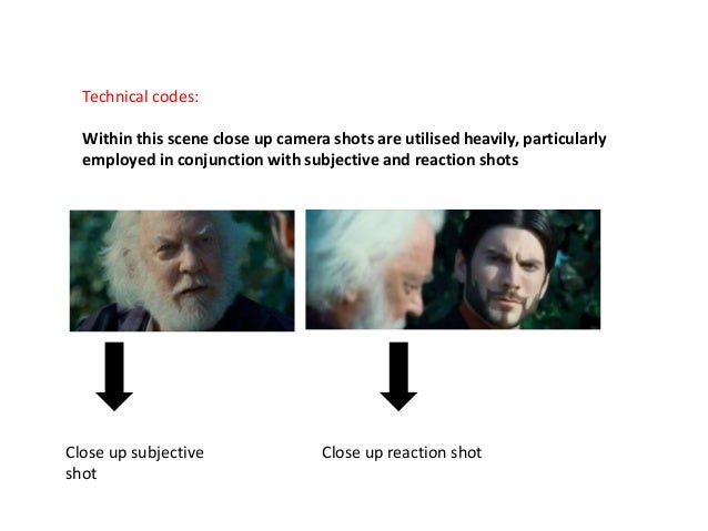 Hunger games example film analysis