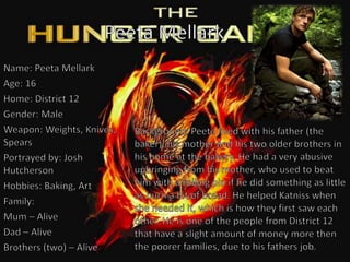 Hunger games extension | PPT