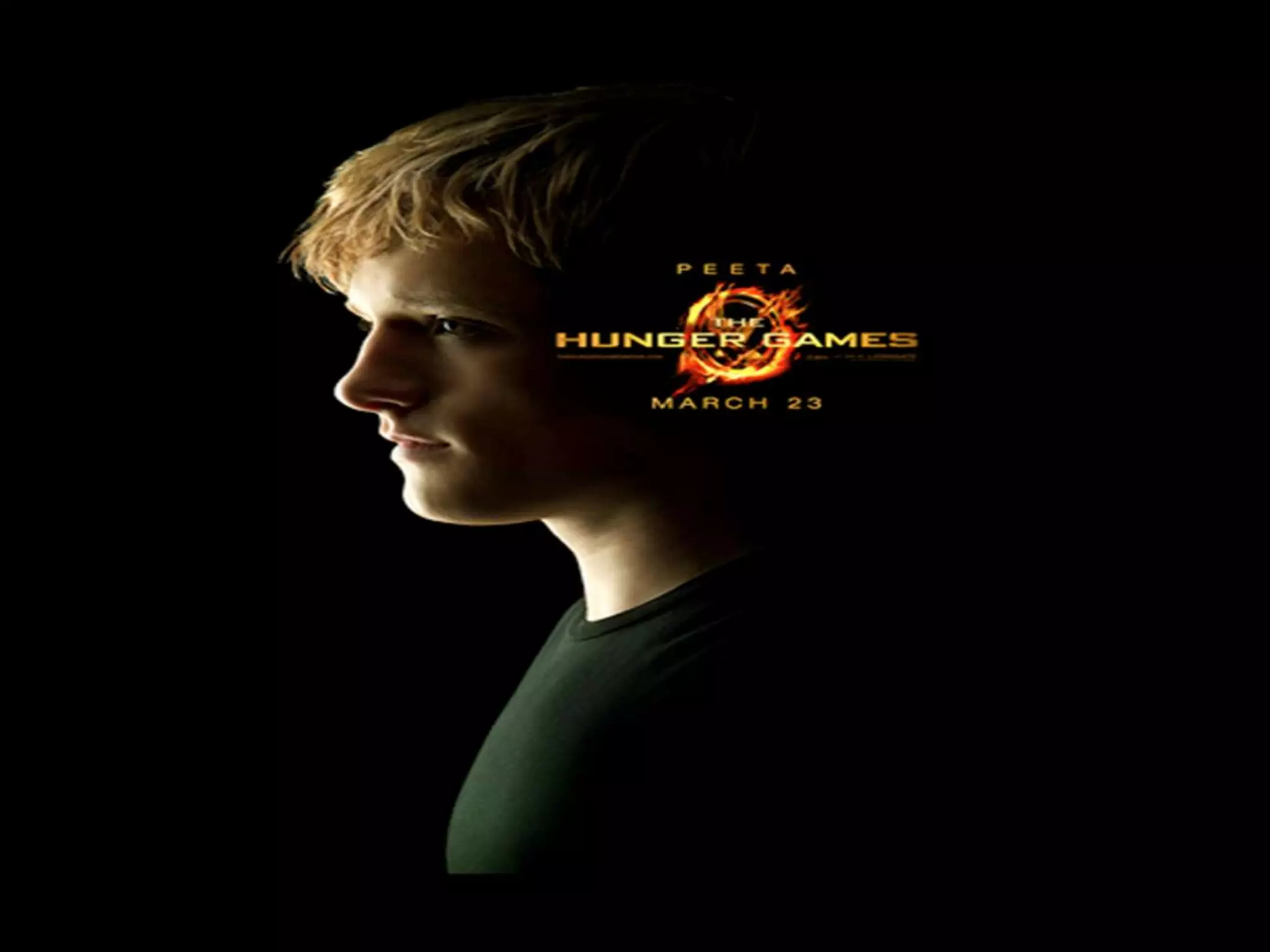 Hunger Games Posters | PPT