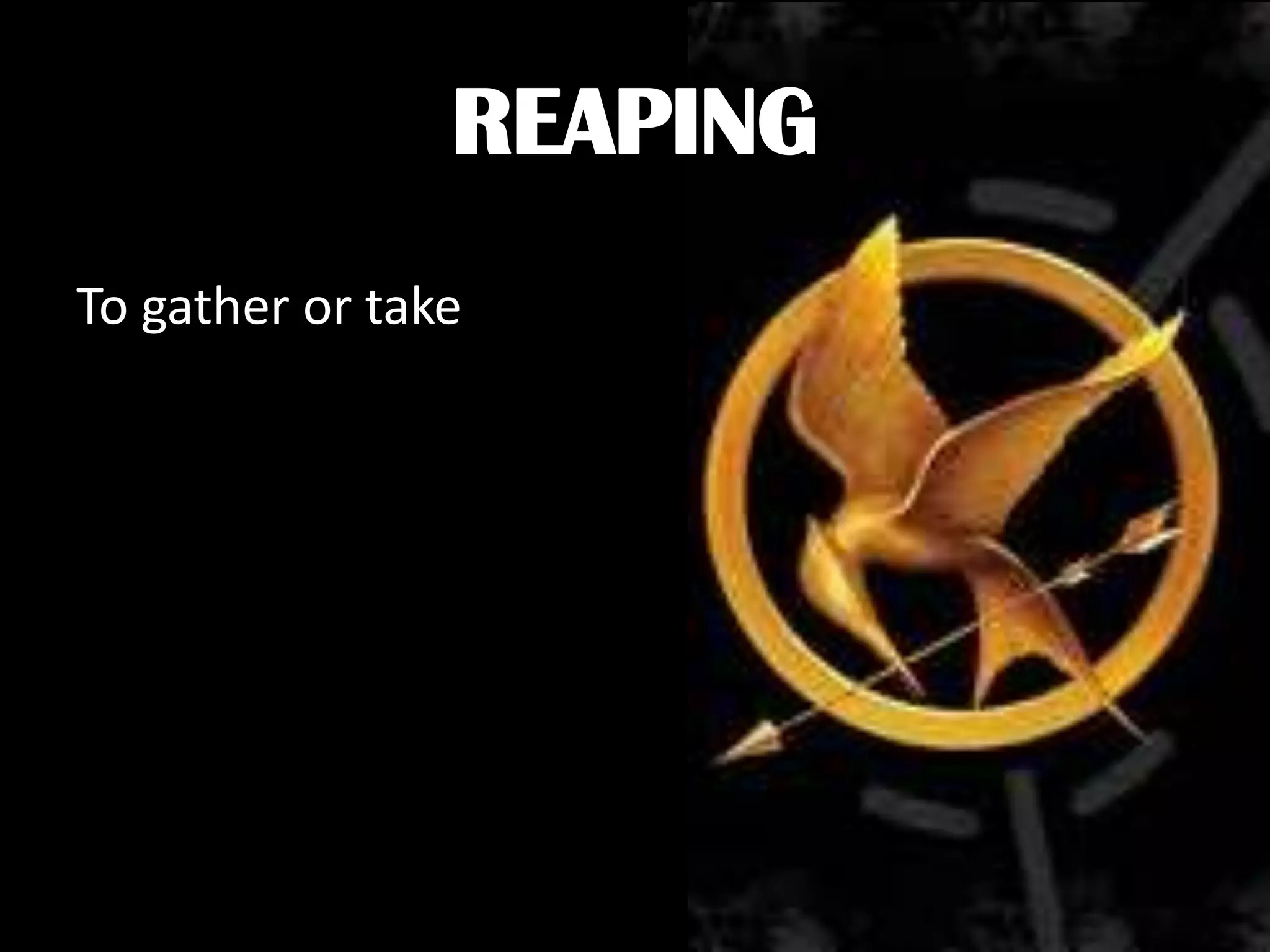 Hunger games vocabulary i | PPTX