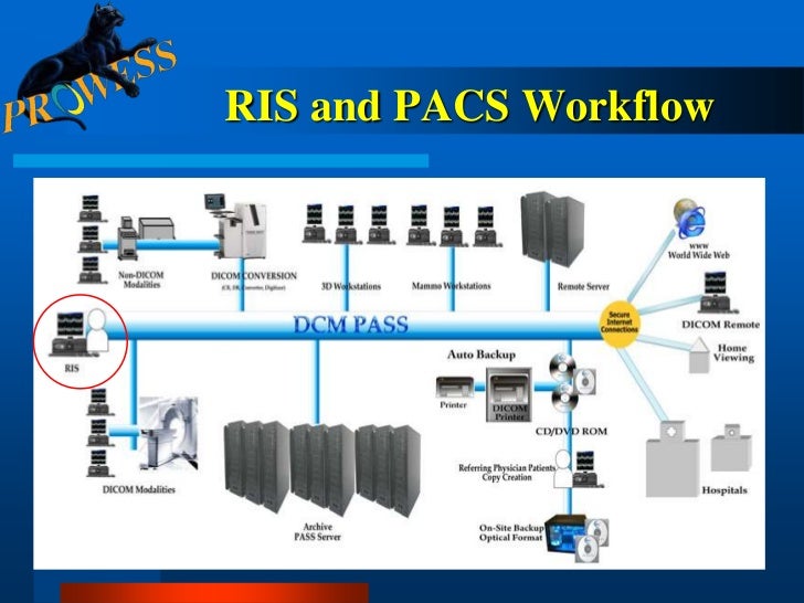 Hung nguyen mipacs_report