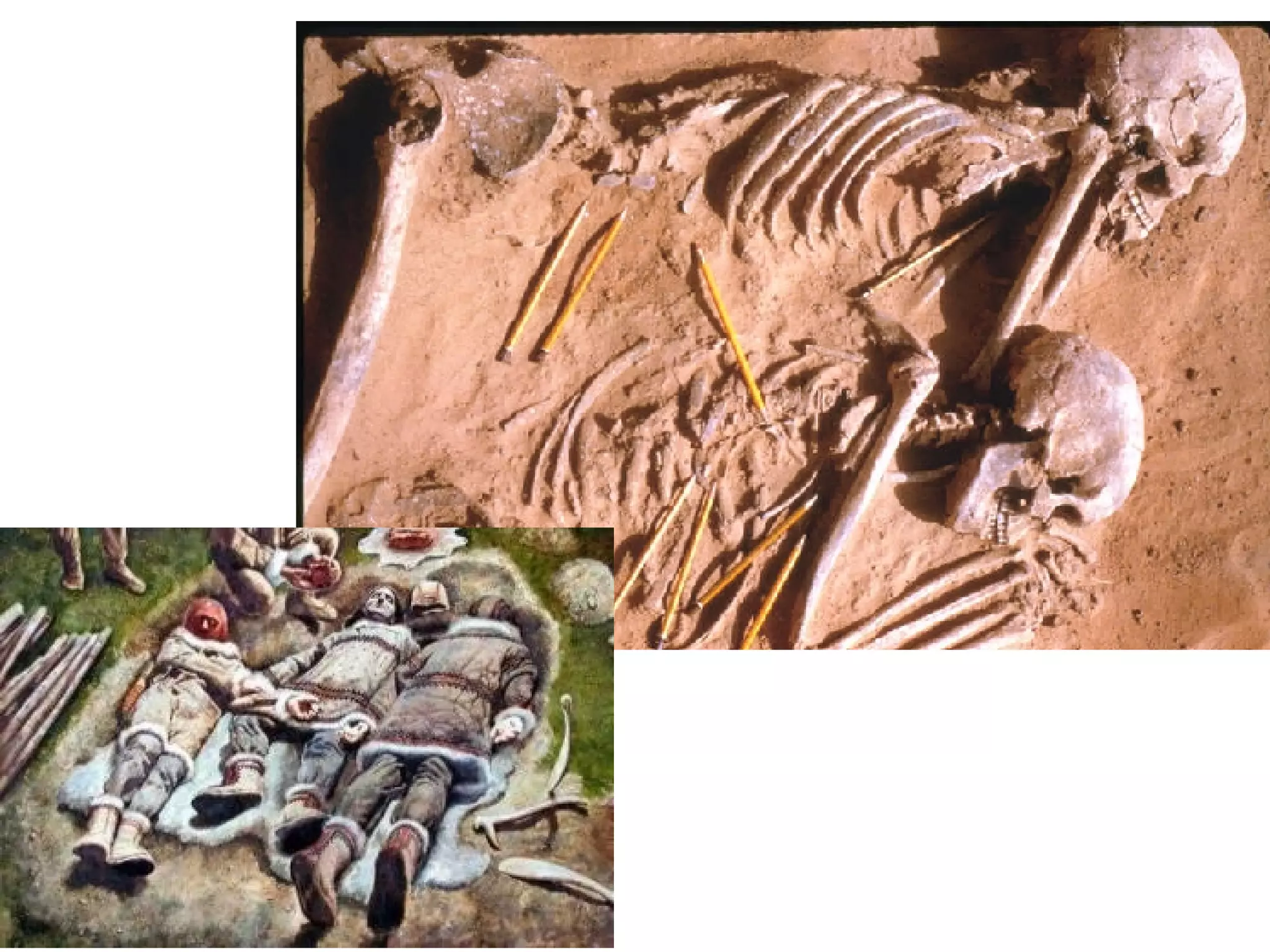 Paleolithic to Civilizations | PPT