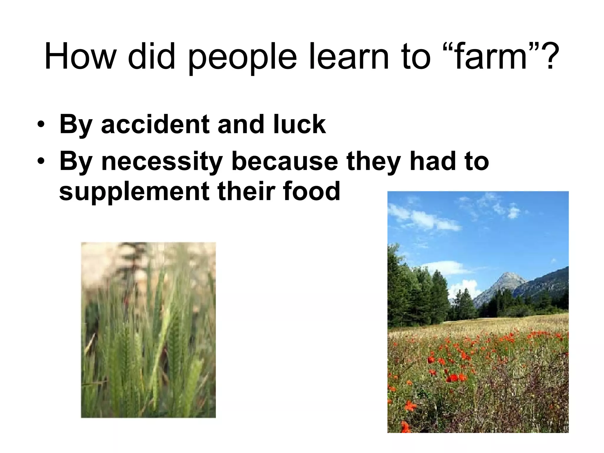 Paleolithic to Civilizations | PPT | Science