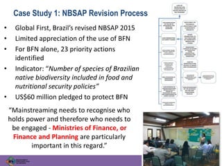 Contributions of the BFN Project to mainstreaming - country experiences ...