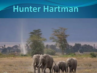 Hunter Hartman | PPT