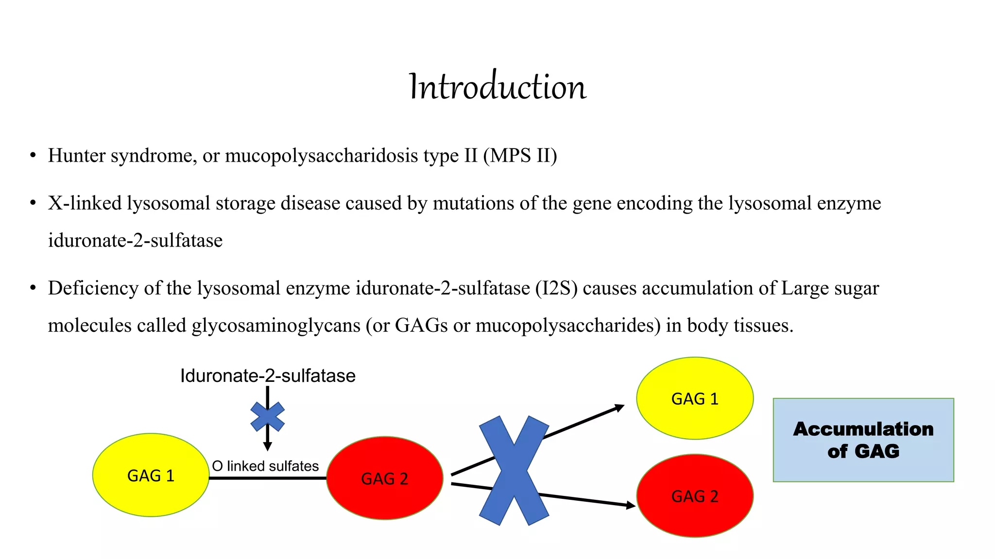 Hunter syndrome and its ayurveda view #mucopolysaccharidosis type II # ...