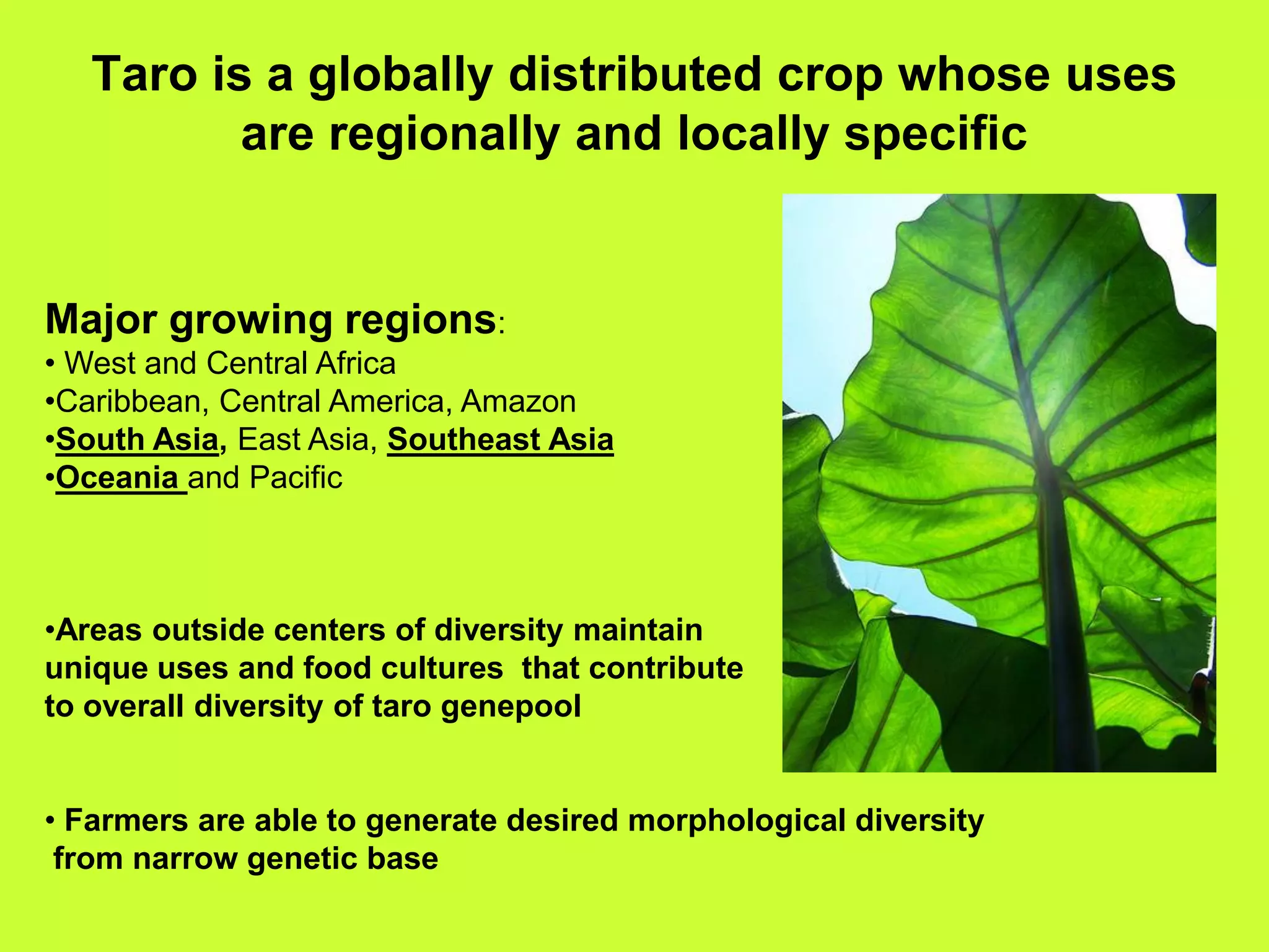 Global diversity of taro: conservation and use | PDF