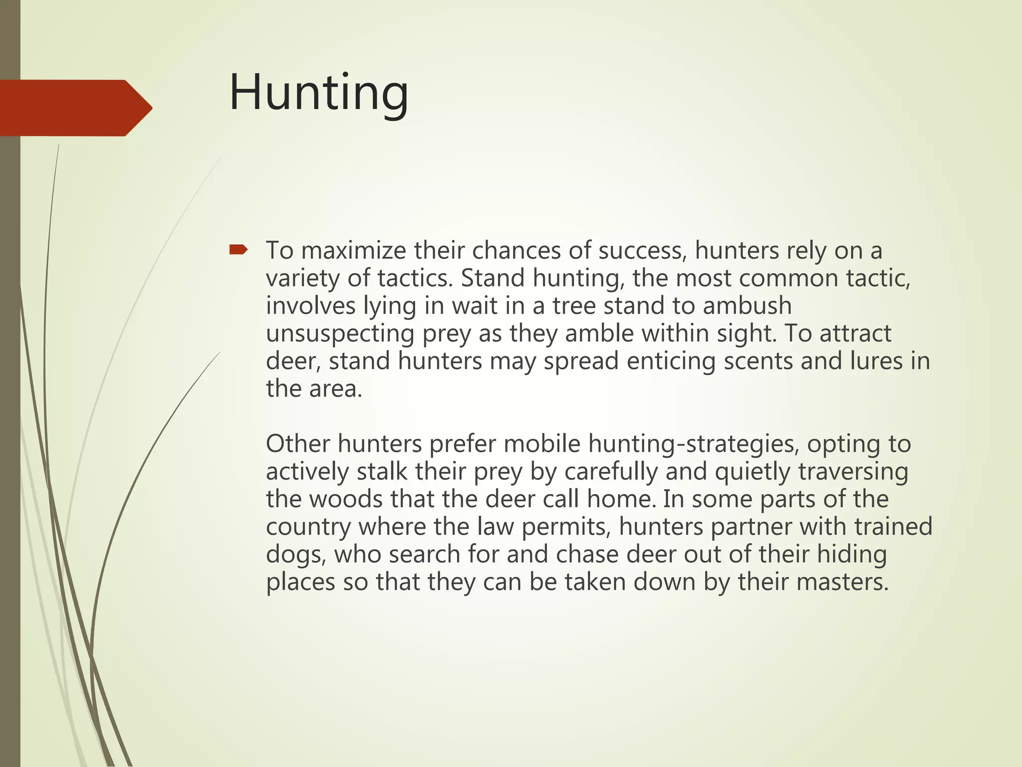 Hunting the White-Tailed Deer - Tactics | PPTX