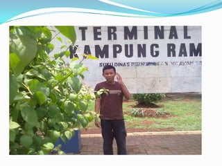 Hunting pasar dan terminal | PPTX