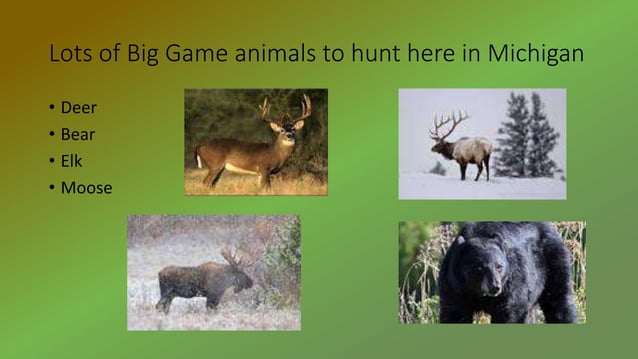 Hunting powerpoint | PPTX