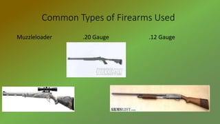 Hunting powerpoint | PPTX