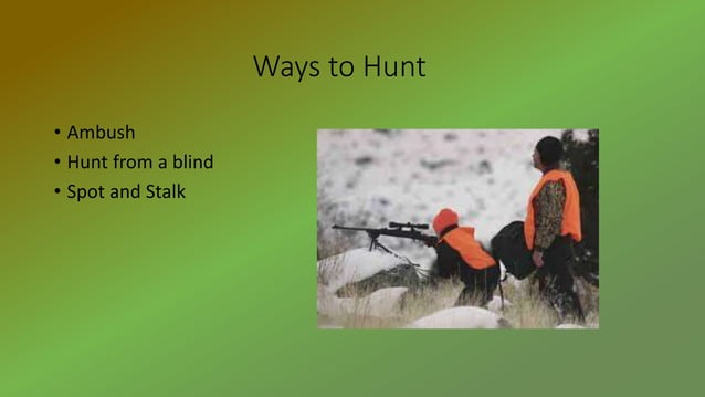 Hunting powerpoint | PPTX