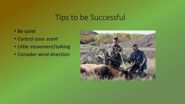Hunting powerpoint | PPTX
