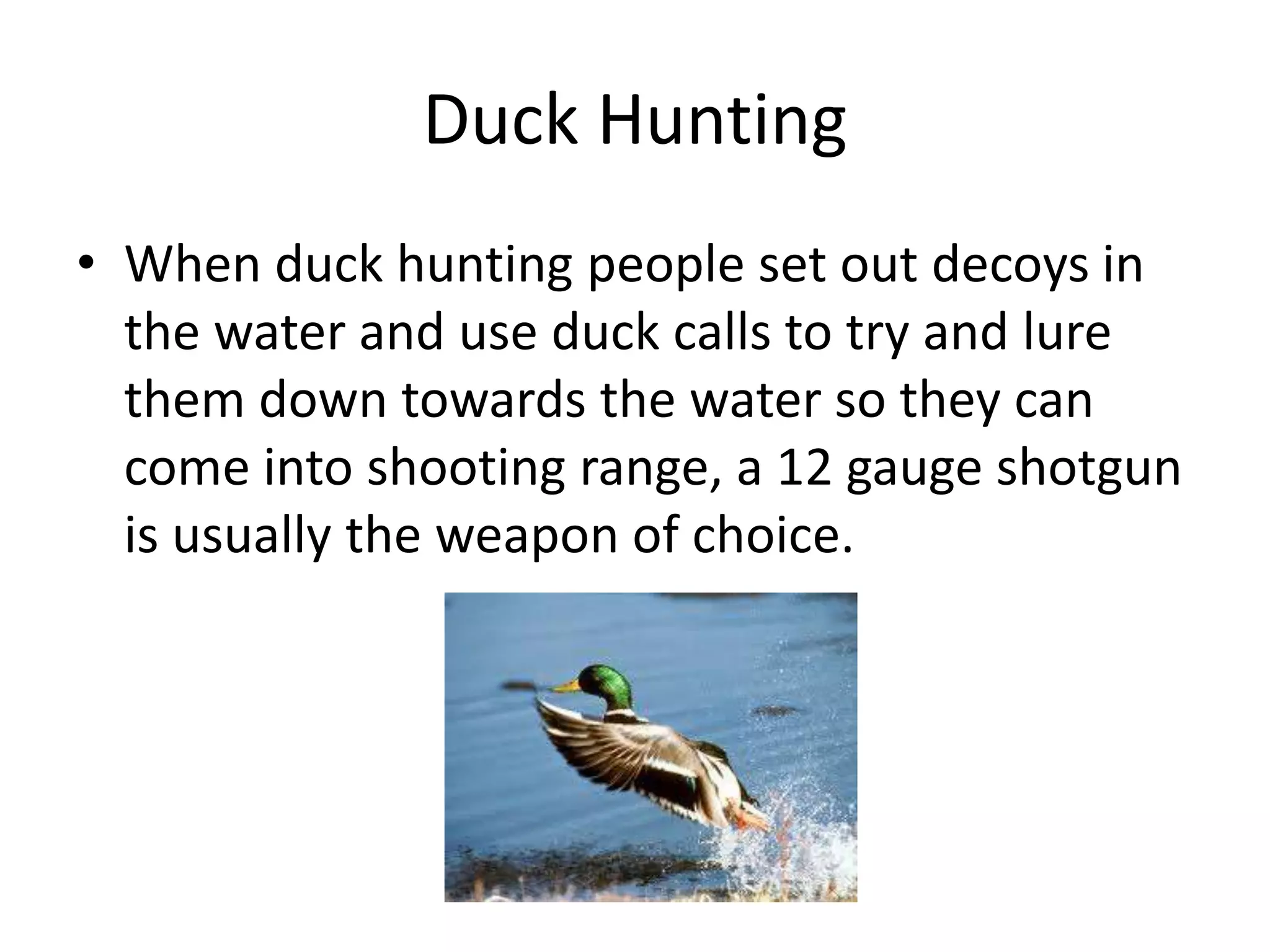 Hunting powerpoint | PPT