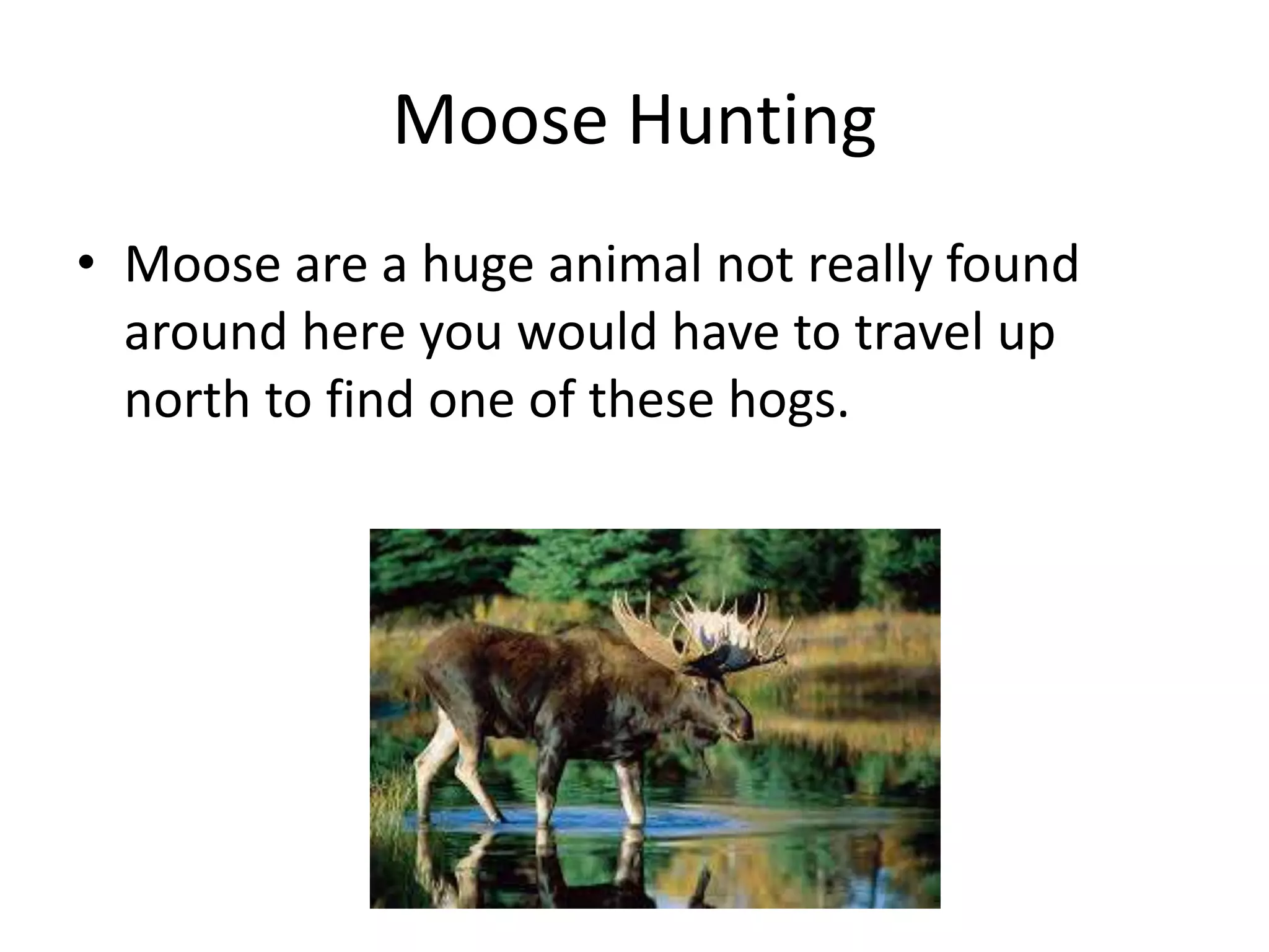 Hunting powerpoint | PPT