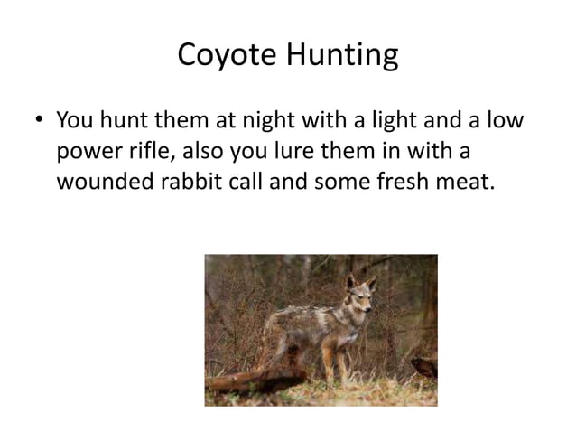 Hunting powerpoint | PPT