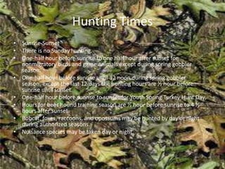 Hunting pp | PPTX