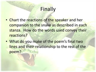 Hunting snake | PPTX