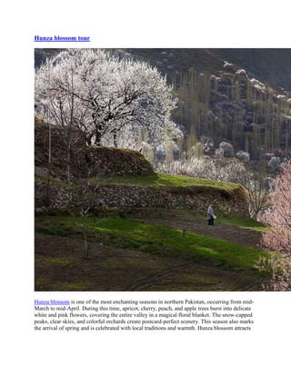 Hunza blossom tour. Hunza Cherry Blossom | PDF