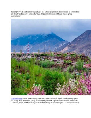 Hunza blossom tour. Hunza Cherry Blossom | PDF
