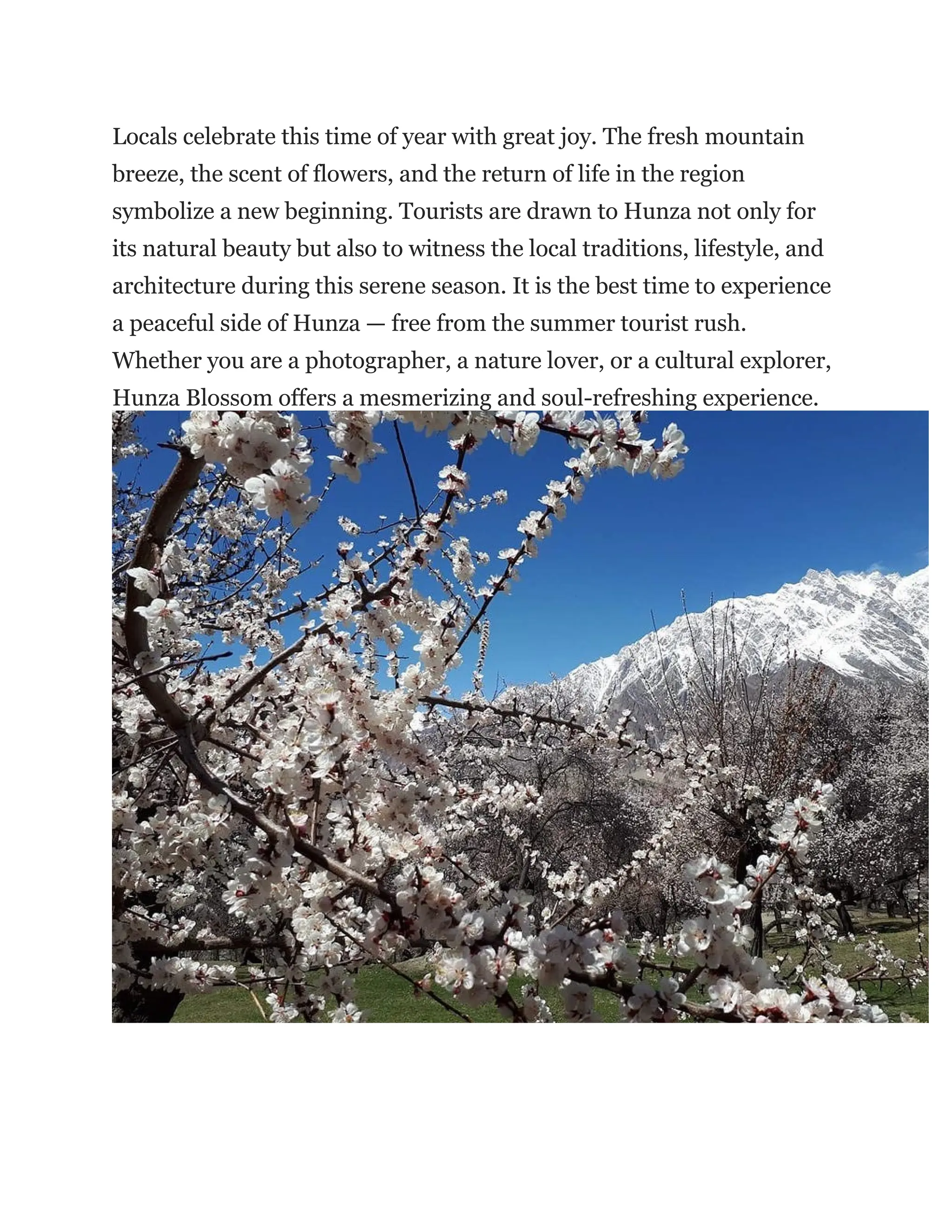 Hunza blossom. Hunza Blossom Tour. Cherry Blossom in Hunza Valley | PDF