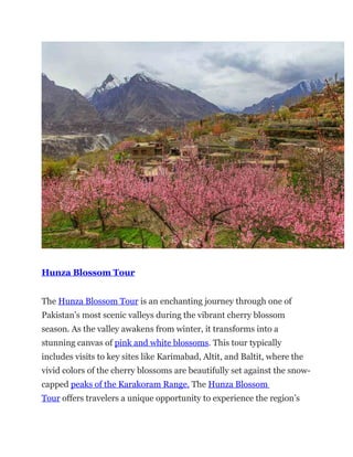 Hunza Blossom Tour. Hunza Cherry Blossom | PDF