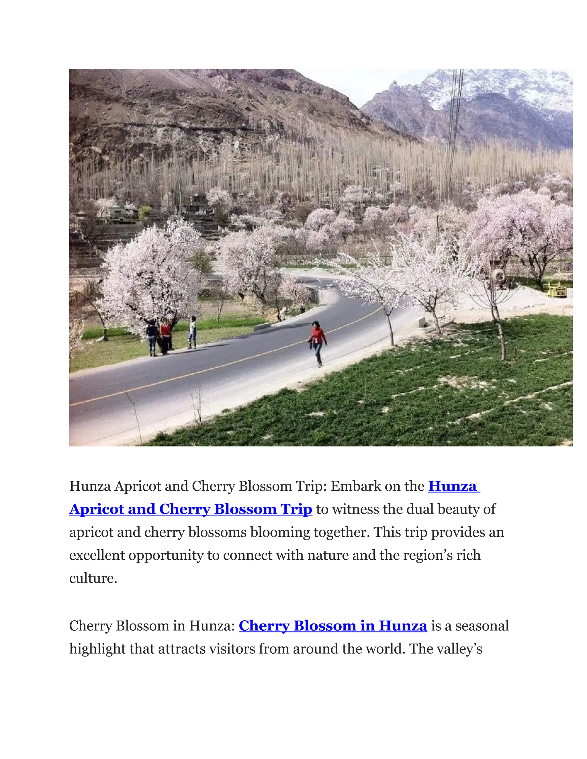 Hunza Blossom Tour.Hunza Cherry Blossom. Skardu Blossom Tour | DOCX