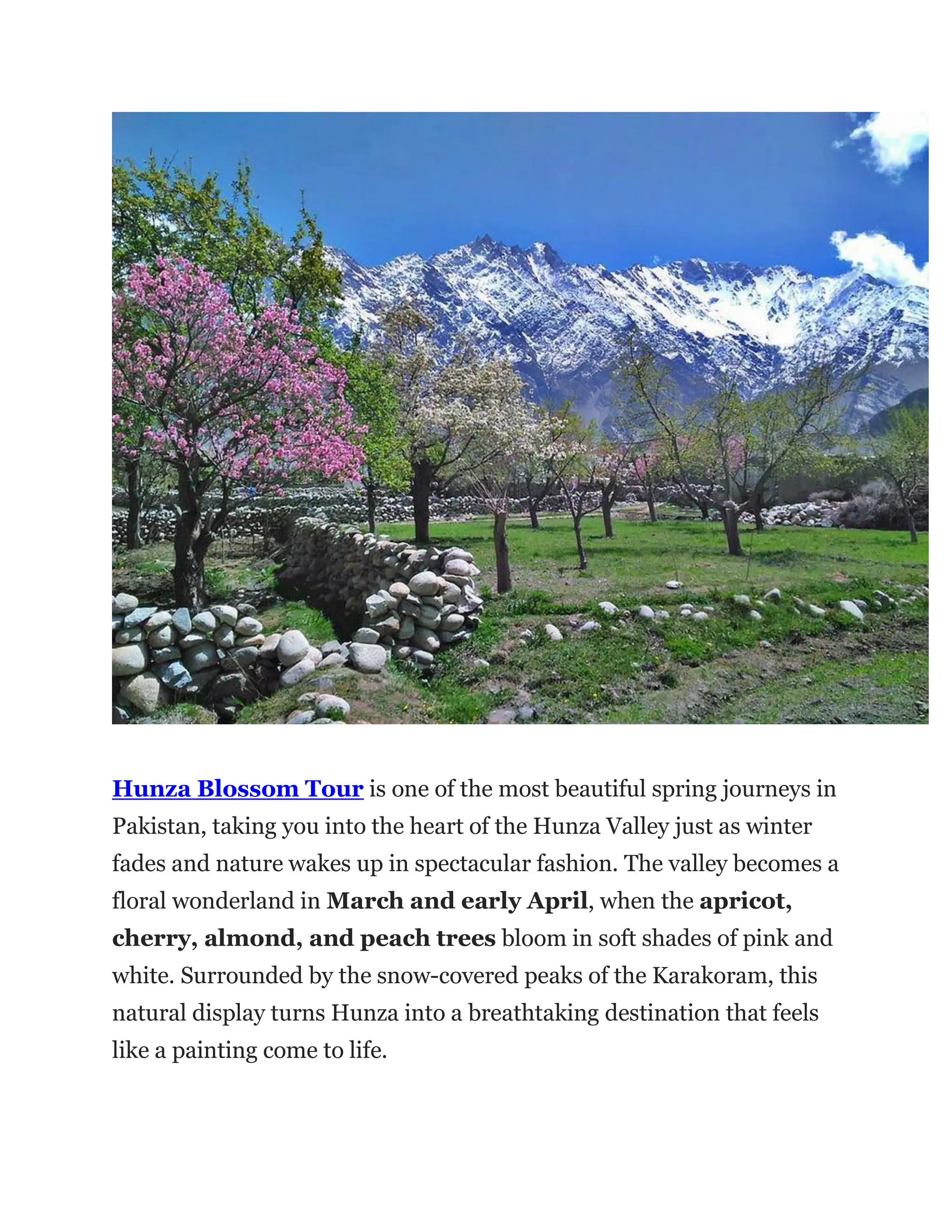 Hunza Blossom Tour. Hunza Cherry Blossom | PDF