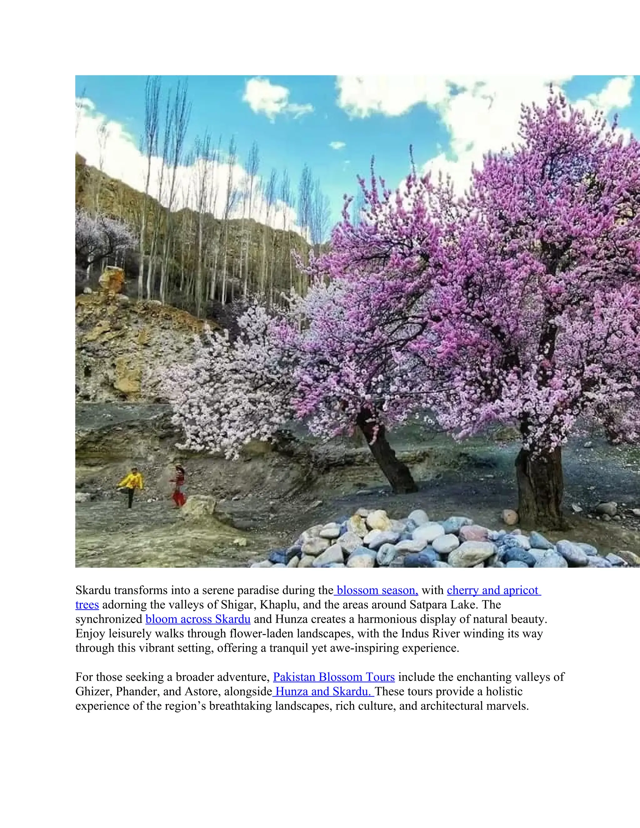 Hunza Cherry Blossom Tour. Hunza Blossom Tour | DOCX