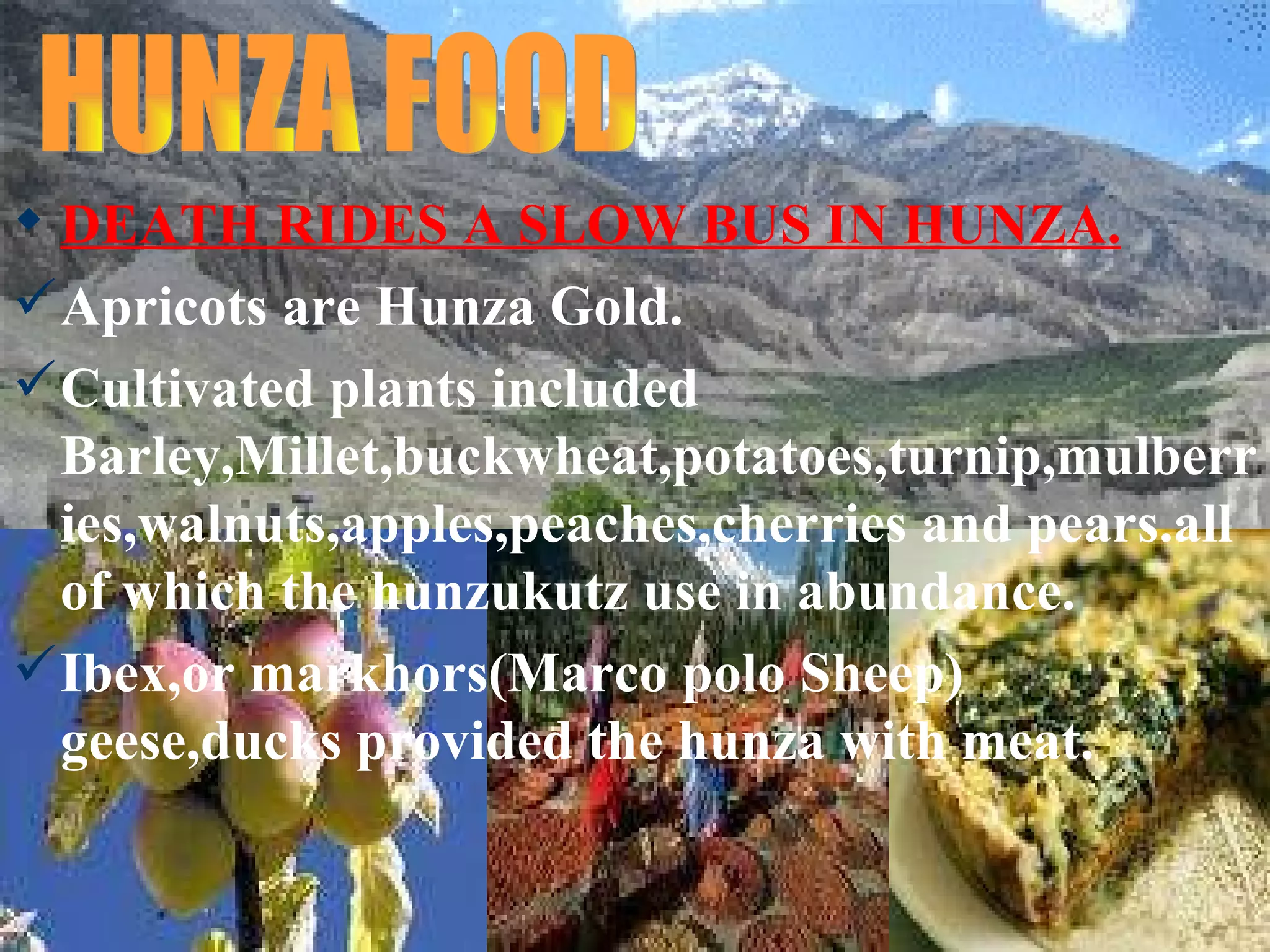 Hunza Presentation | PPT