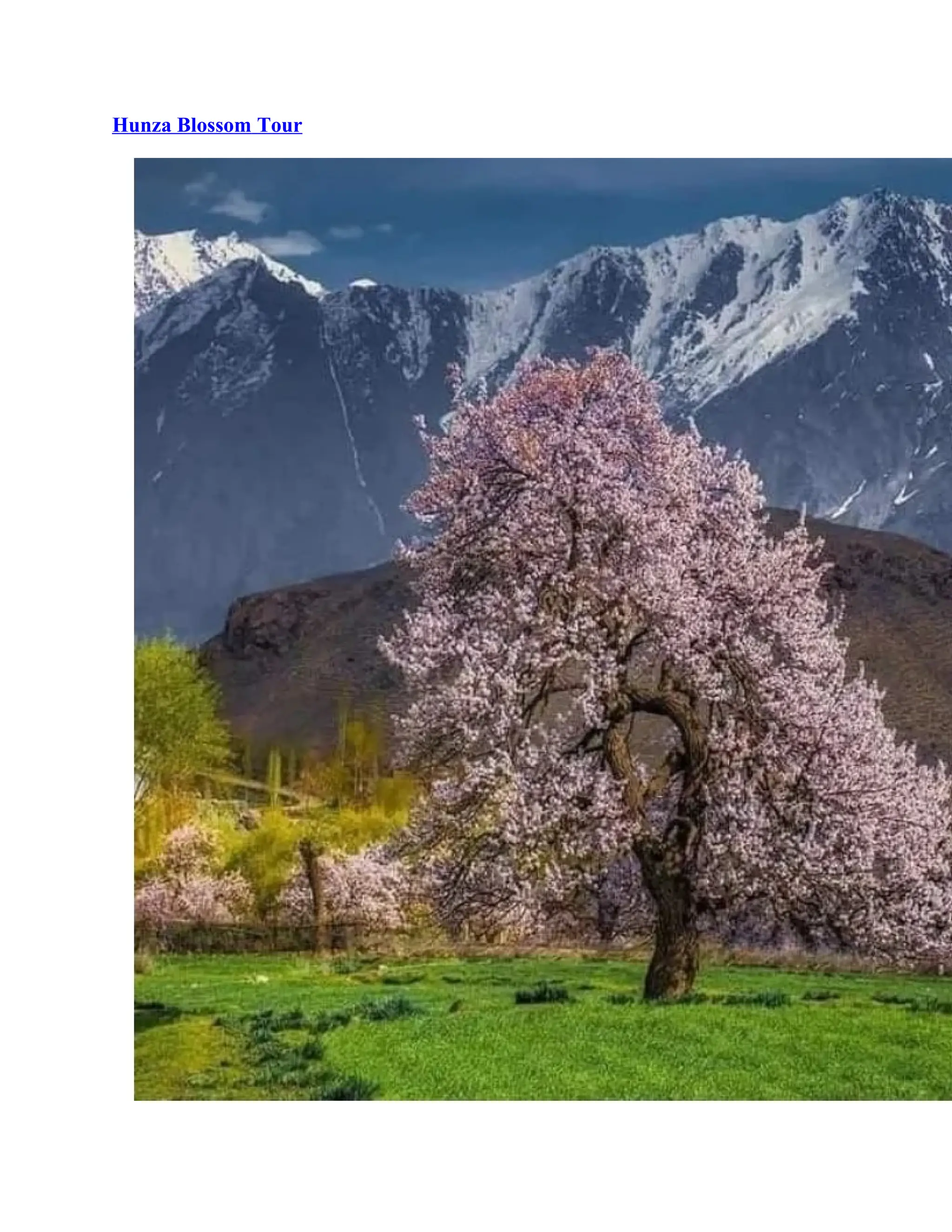 Hunza Valley Cherry Blossom Tour. Hunza Blossom Tour | PDF
