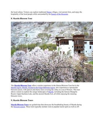 Hunza Valley Cherry Blossom Tour. Hunza Blossom Tour | PDF