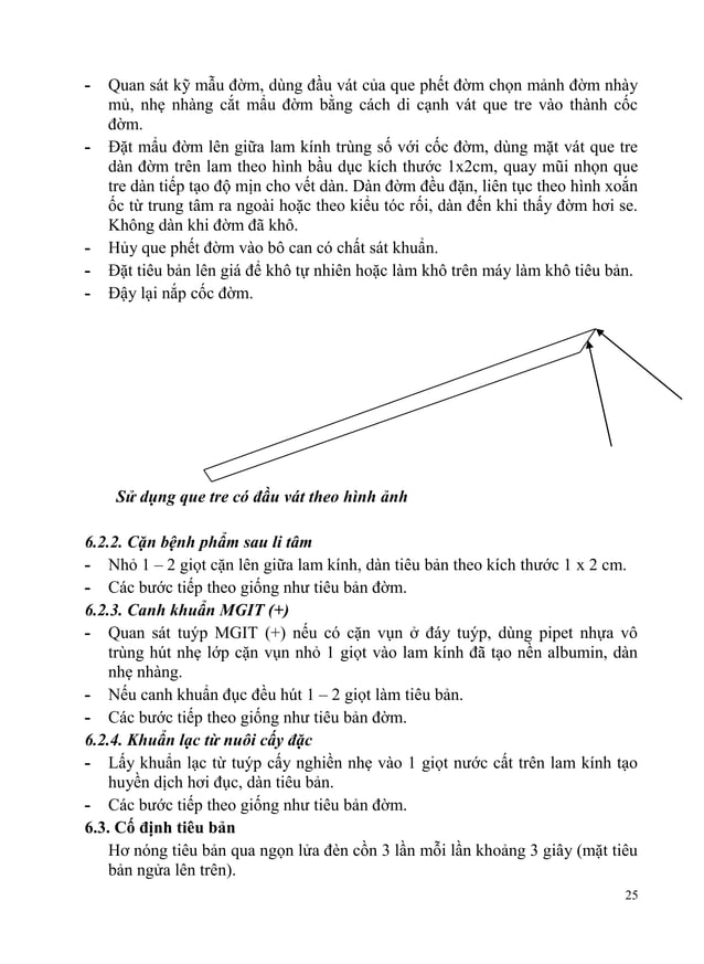 Huong dan chan_doan_dieu_tri_du_phong_lao | PDF