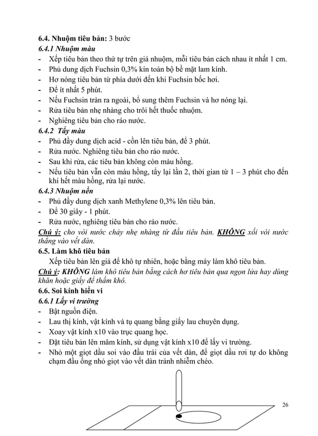 Huong dan chan_doan_dieu_tri_du_phong_lao | PDF