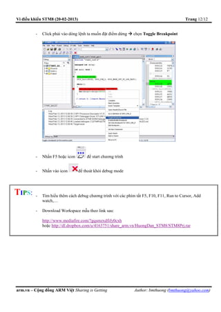 Huong dan su dung iar cho stm8(20 feb2013) | PDF