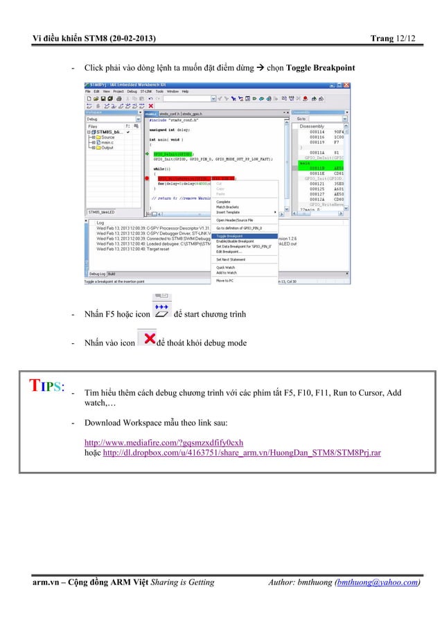 Huong dan su dung iar cho stm8(20 feb2013) | PDF