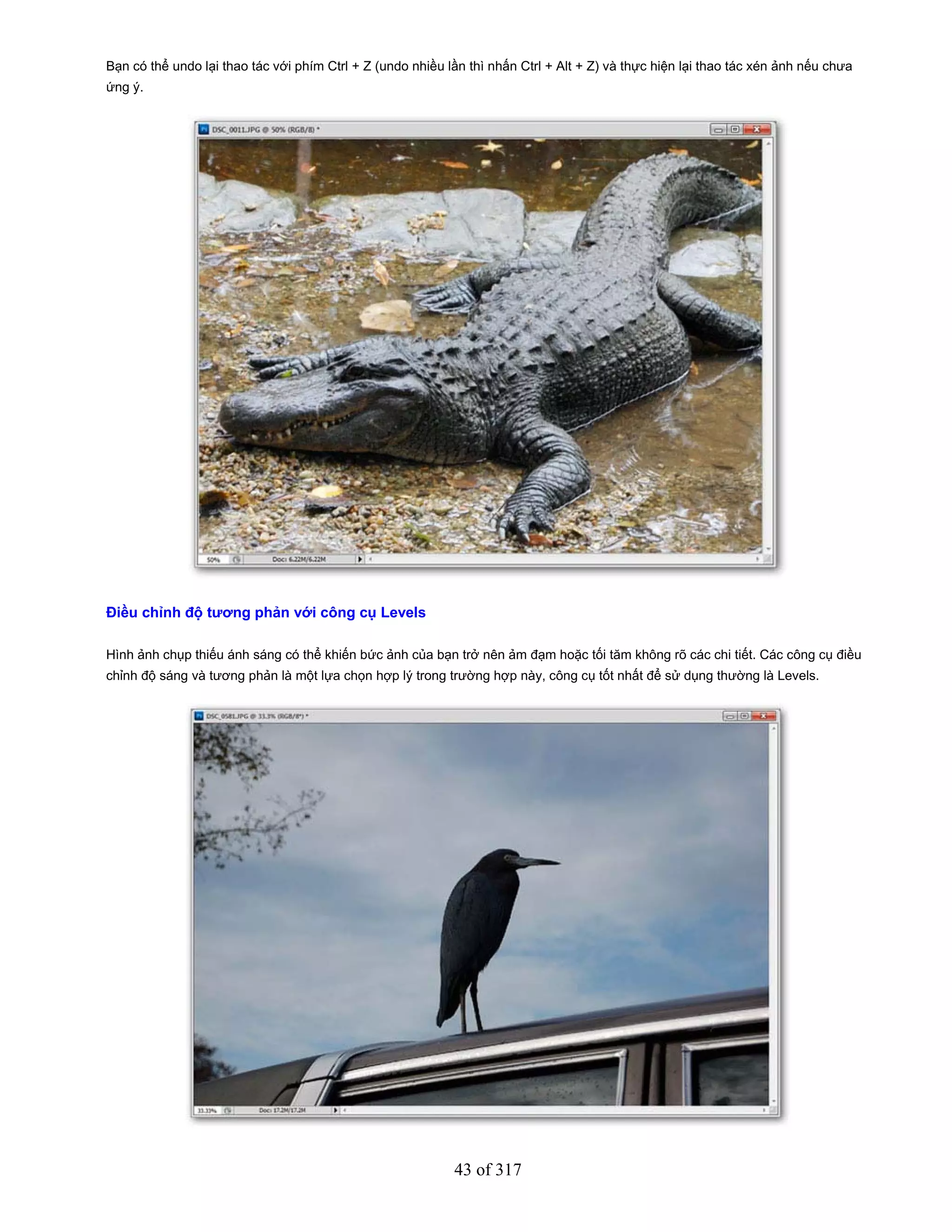 Huong dan su dung photoshop cs5 | PDF