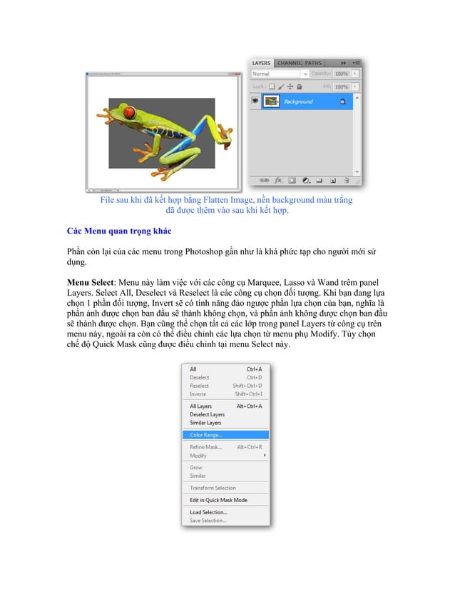 Huong dan su dung photoshop cs5 phan 4 | PDF
