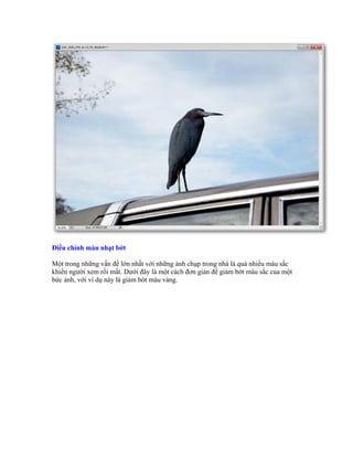 Huong dan su dung photoshop cs5 phan 5 | PDF