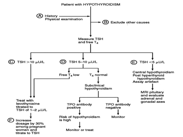 Hypothyroidism Diagnosis, Etiopathogenesis and Treatment | PPTX