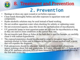 Mycobacteriosis | PPTX