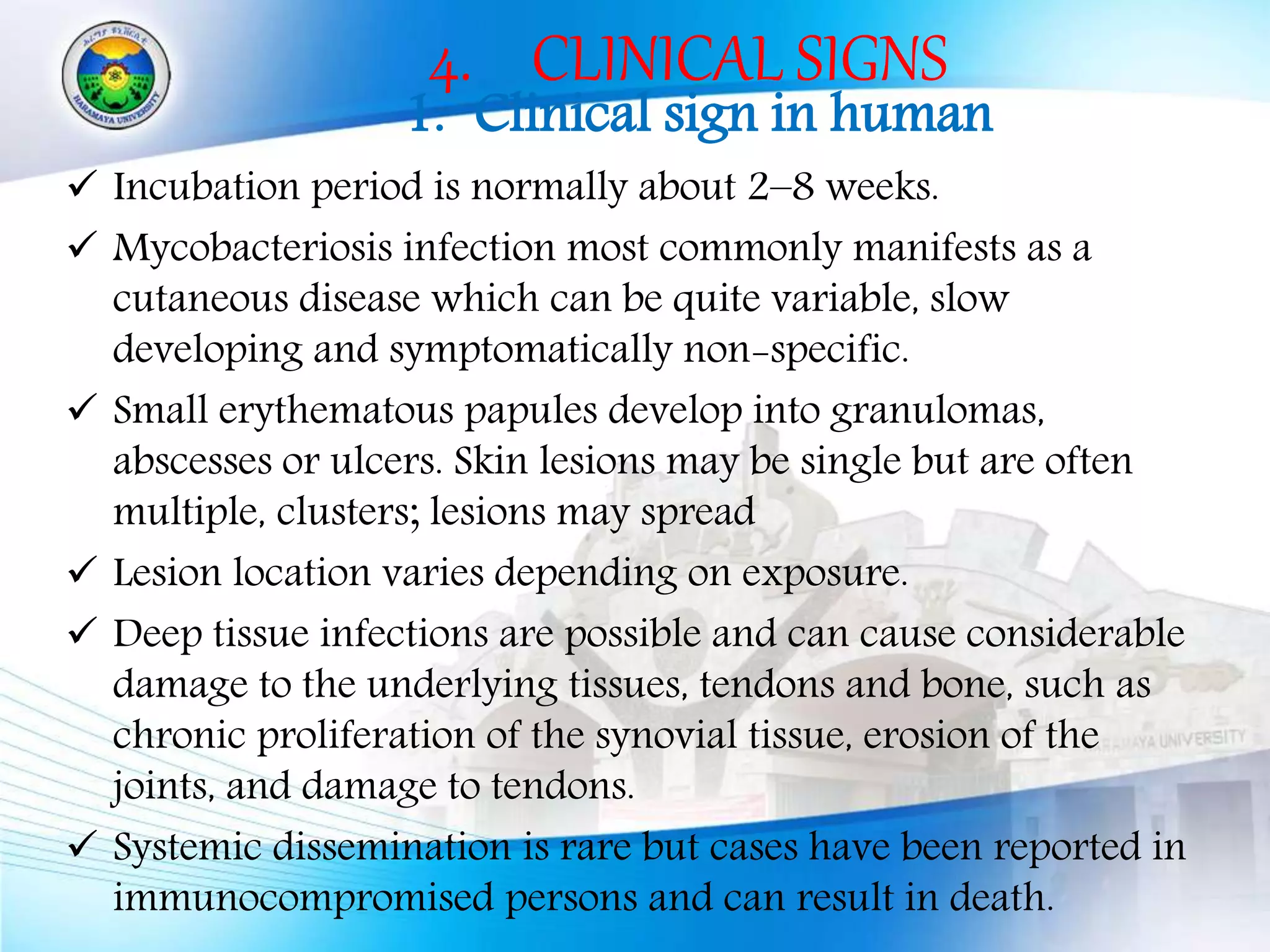 Mycobacterium marinum | PPTX