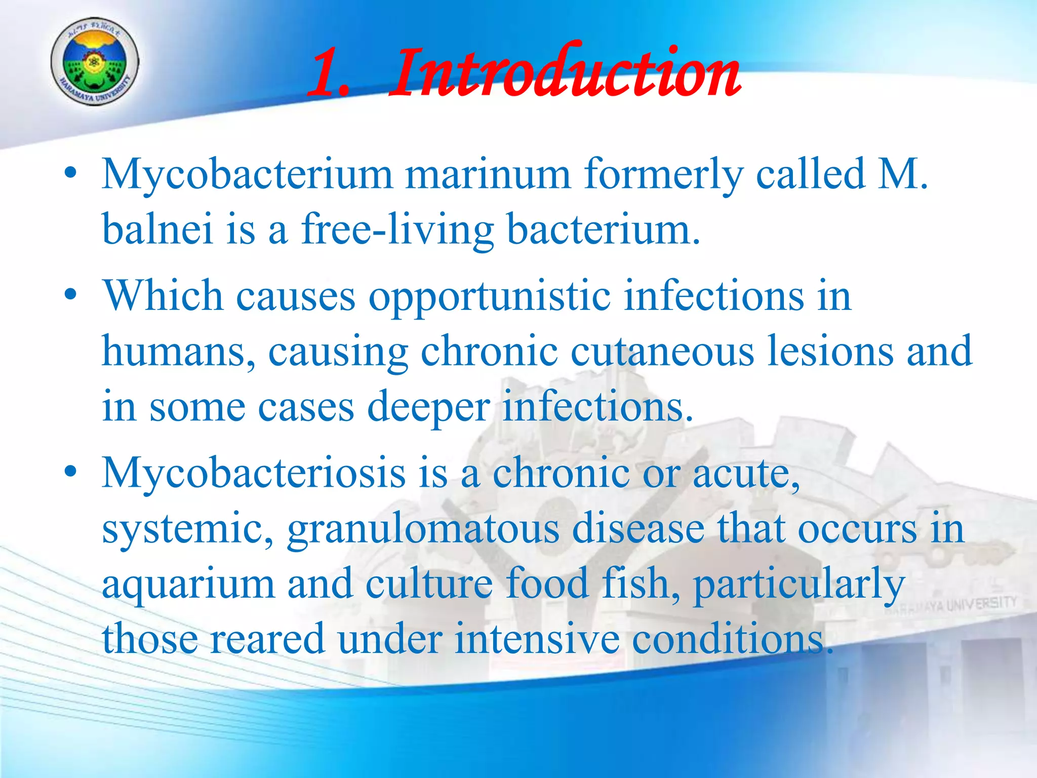 Mycobacterium marinum | PPTX