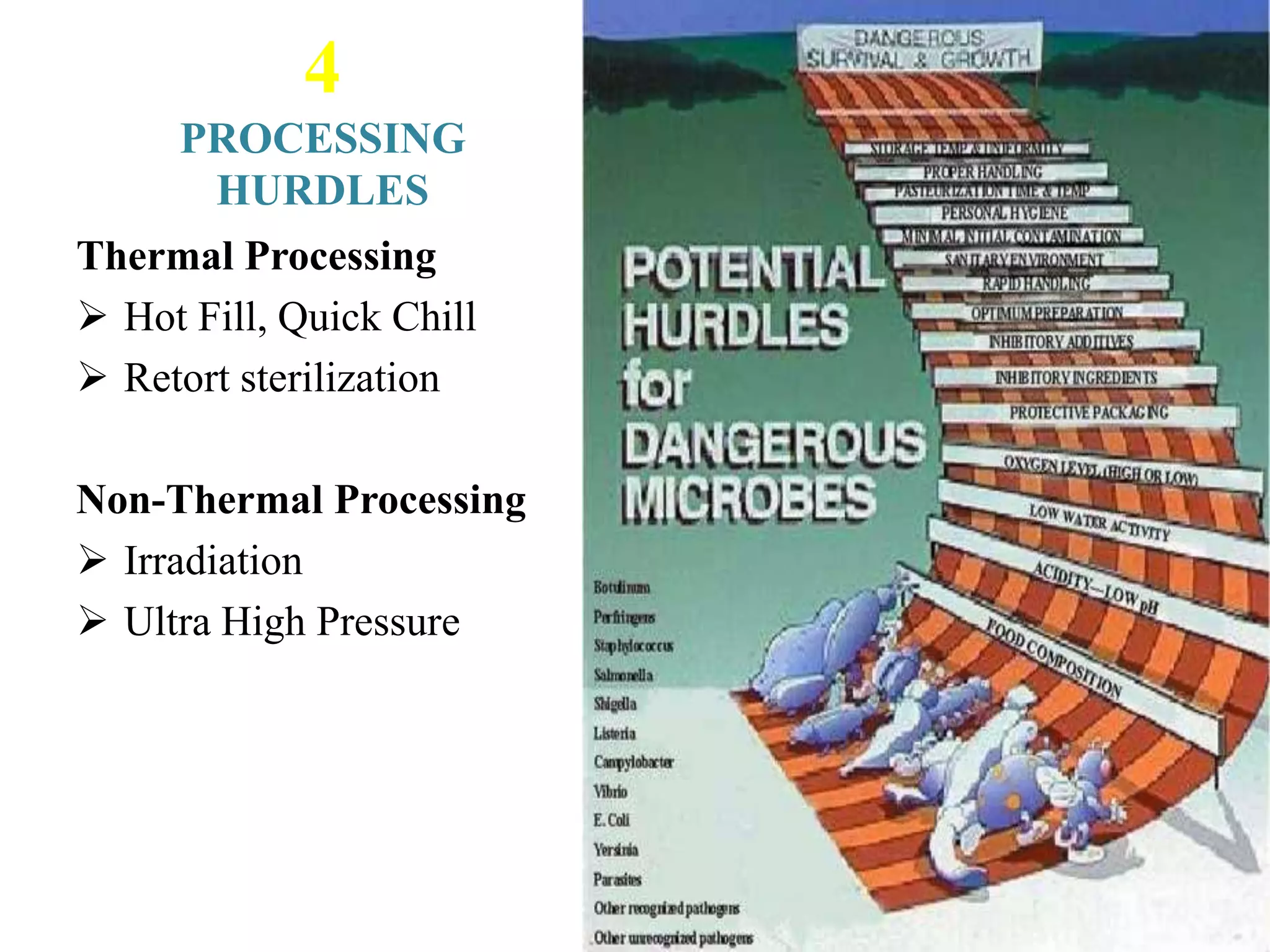 HURDLE TECHNOLOGY IN FOOD INDUSTRY | PPTX