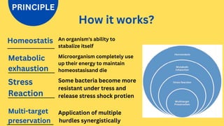 hurdle technology.pdf